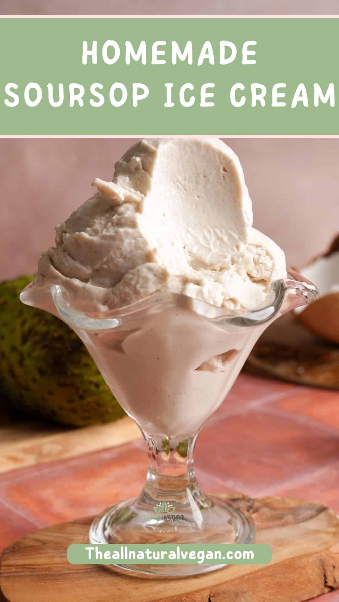 Soursop Ice Cream - The All Natural Vegan